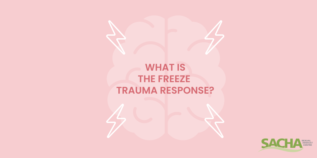 What is the freeze trauma response? – SACHA